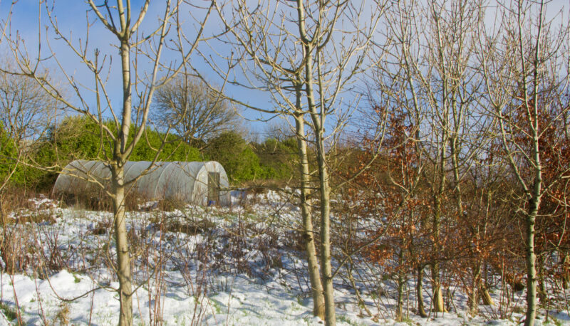 Dealing with Snow on Your Hoophouse – Mother Earth News